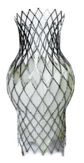 TricValve® | P&F Products & Features | Severe TR